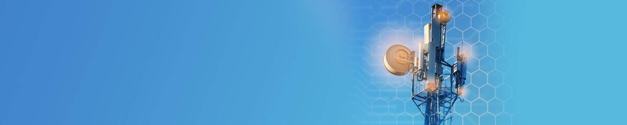 Network Lifecycle Management | TQG